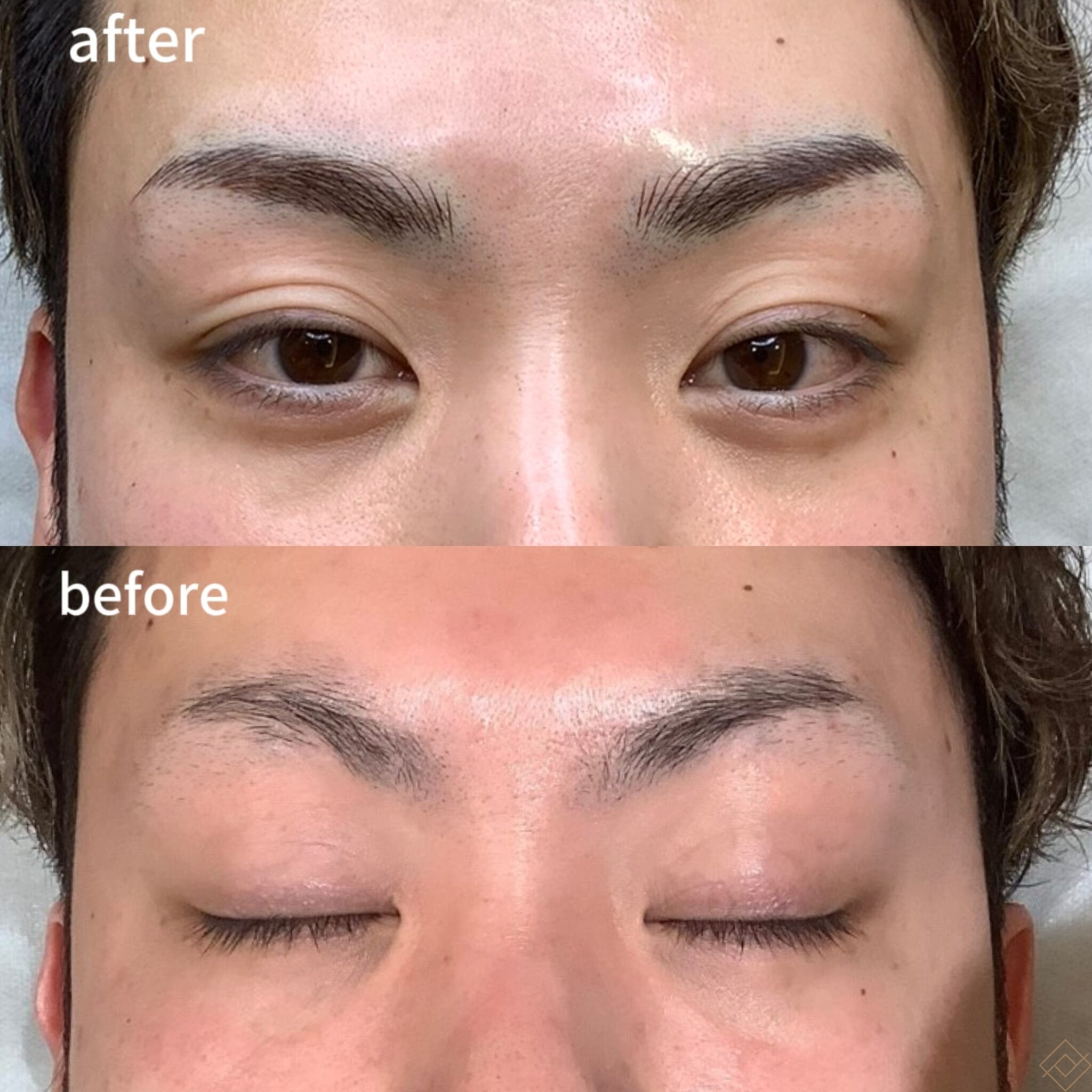 眉・ブロウ部門 | PGC Products